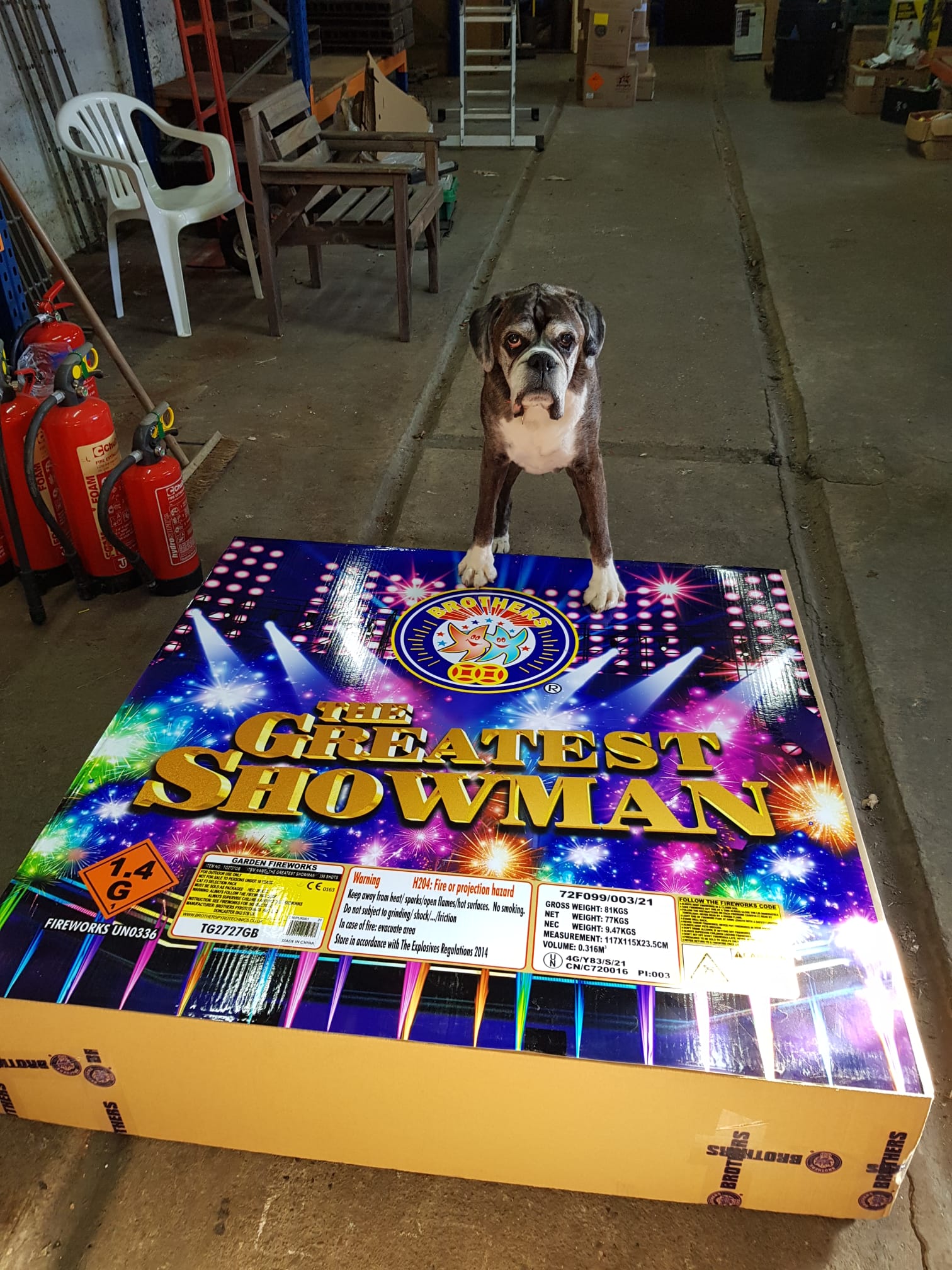 The Greatest Showman **DRAW TICKET** - lovefireworks.co.uk